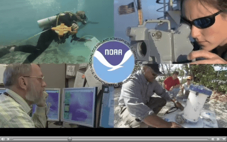 NOAA | Government Book Talk