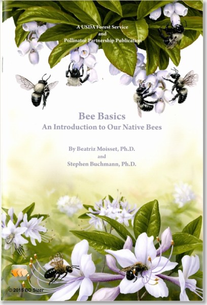 Our Native Flying ‘Cheetos’: Bee Basics from the USDA Forest Service ...