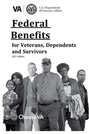 Veterans Day | Government Book Talk
